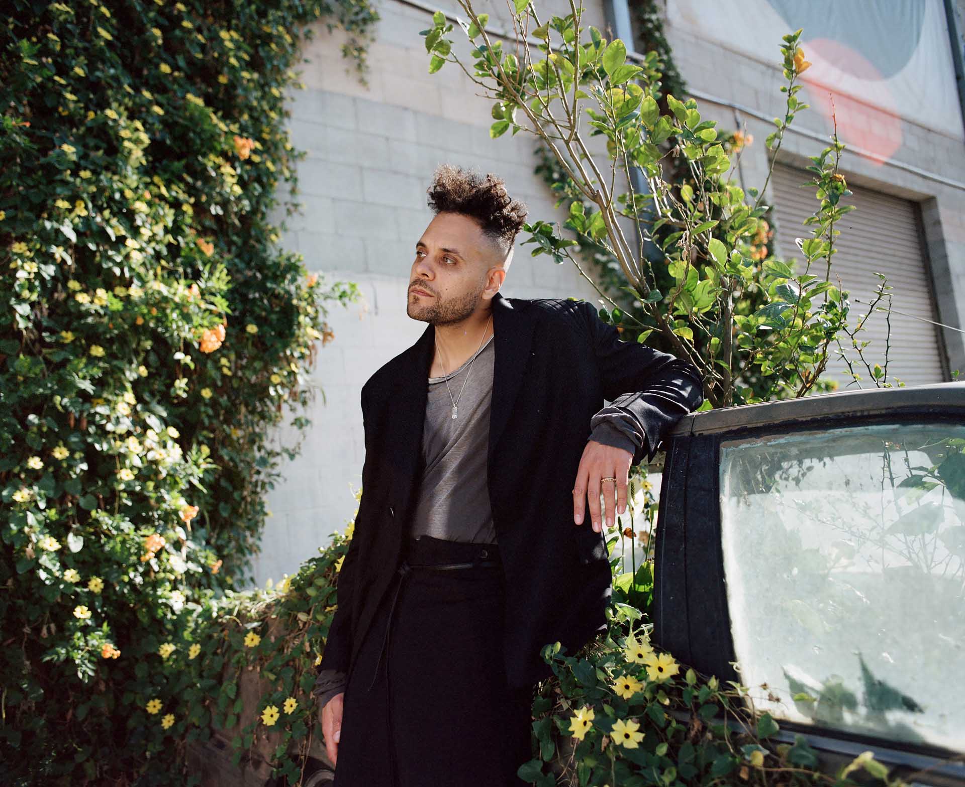 Kassa Overall: Animals